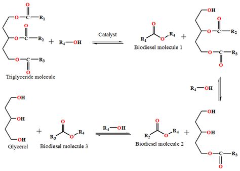 Transesterification Process For Biodiesel Production Pdf Michelle Gibson
