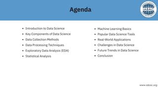 Basics Of Data Science Foundation Explained IABAC PDF