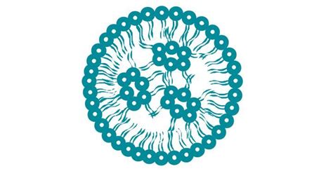 Microfluidics On Linkedin Lnp Lipidnanoparticles Mrna Parmaceuticalchallenges…