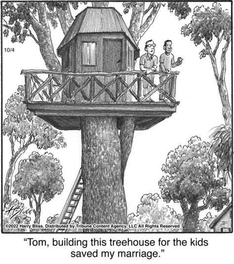 Tom Building This Treehouse Tom Building This Treehouse