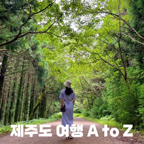 제주도 여행 Preview 3박 4일 제주도 여행 코스 일정 숙소 맛집 가볼만한 곳 가이드 자유여행 가족여행 준비물