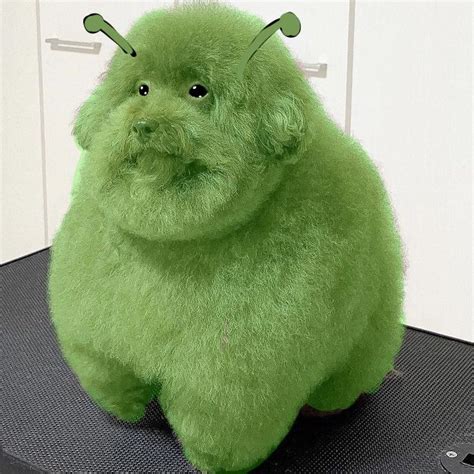Alien Doggy Aliens Meme Alien Aesthetic Wyd Creature