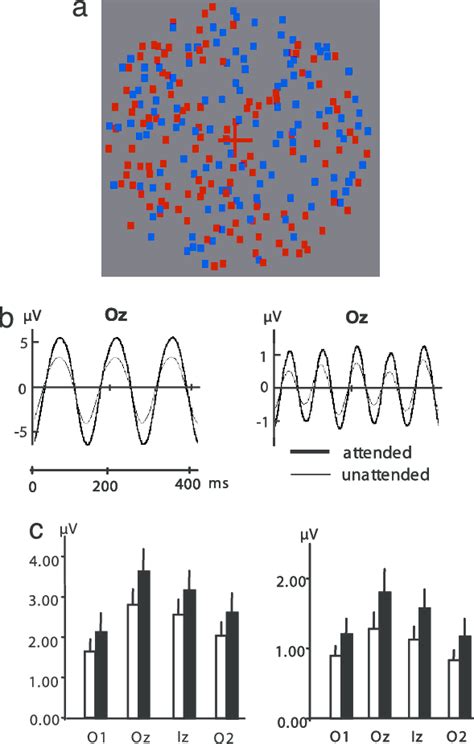 feature based attentional modulation of the ssvep a example of the
