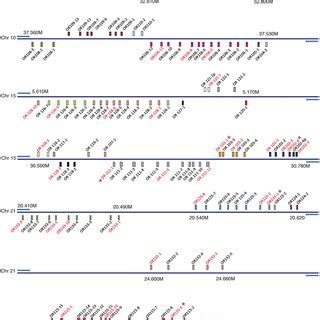 Identification Of ORs With Putative Otx Binding Sites In Silico Download Scientific Diagram