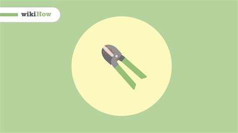 Ways To Remove Rust And Corrosion WikiHow