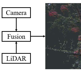 The Point Cloud From LiDAR And RGB From Camera Are Fused To Generate Download Scientific