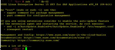 Sap Hana Cluster On Suse With Pacemaker Microsoft Qanda