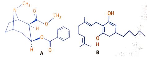 [bengali Solution] Molecule B Cannabinoid Source Atropa Belladonna Use
