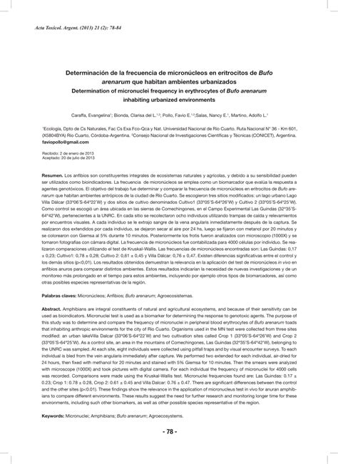 Pdf Determinación De La Frecuencia De Micronúcleos En Eritrocitos De