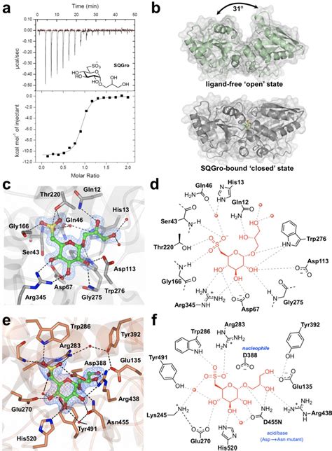 Figure 2 From Oxidative Desulfurization Pathway For Complete Catabolism