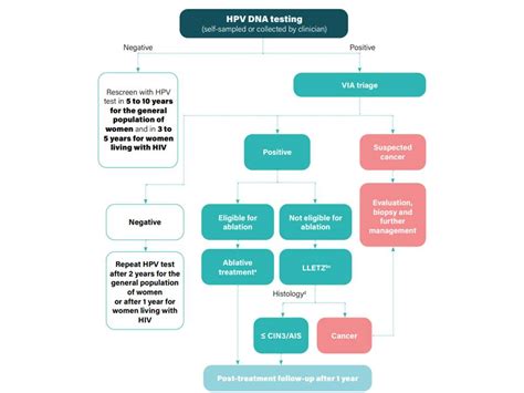 Using Hpv Tests For Cervical Cancer Screening And Managing Hpv Positive Women A Practical