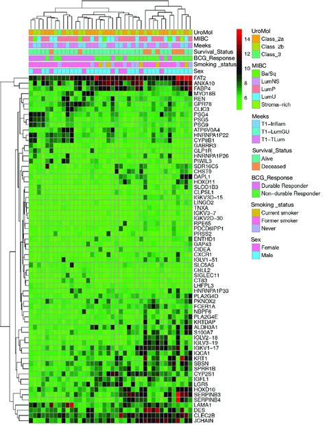 Gene Expression Heatmap Of Statistically Significant Differentially Download Scientific