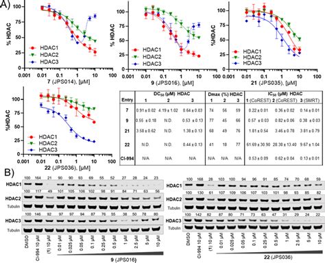 a dose response curves dc 50 and dmax calculations for compounds 7