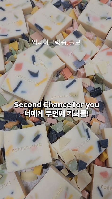 포레스트가닉 슬로우숲속라이프 I 무해로운 노바디버든 Forestganic • Instagram Photos And Videos