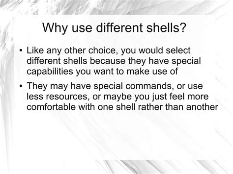 The Shell Game Part 2 What Are Your Shell Choices Ppt