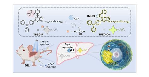 Rational Design Of An Intramolecular Hydrogen Bond Enhanced Fluorescent Probe For Diagnosis Of