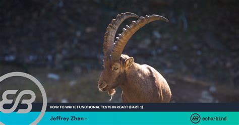 How To Write Functional Tests In React Part 1 Echobind