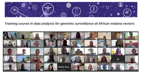 Training Course In Data Analysis For Genomic Surveillance Of African Malaria Vectors