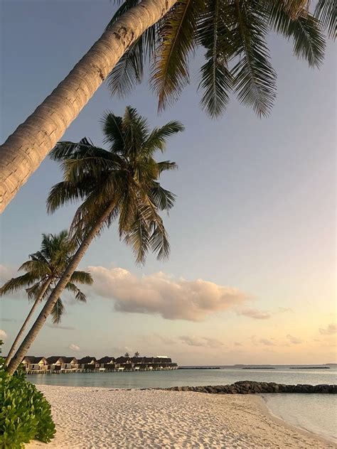 Unreadable On Tumblr Unreadable On Tumblr