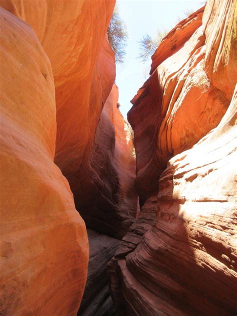 Peek A Boo Slot Canyon Loop Utah Off Road Trail Map And Photos Onx Offroad