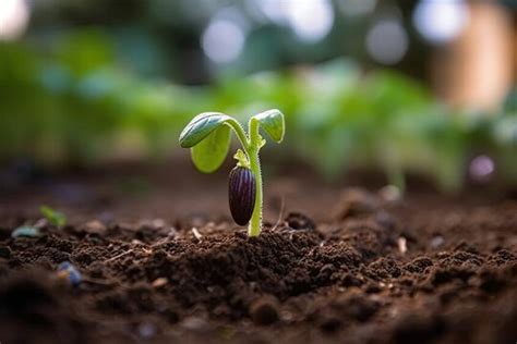 「nasubi」の写真素材 402 084件の無料イラスト画像 Adobe Stock