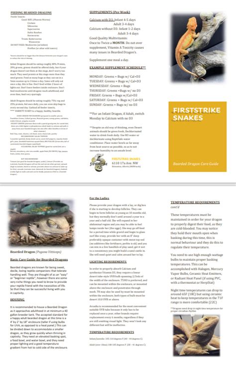 Bearded Dragon Care Sheet Firststrike Snakes And Feeders