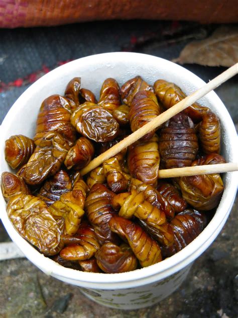 What Is The Most Nasty Food In The World At Richard Buffum Blog