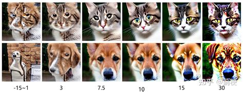 Classifier Guidance 和 Classifier Free Guidance，一堆公式不如两行代码 知乎