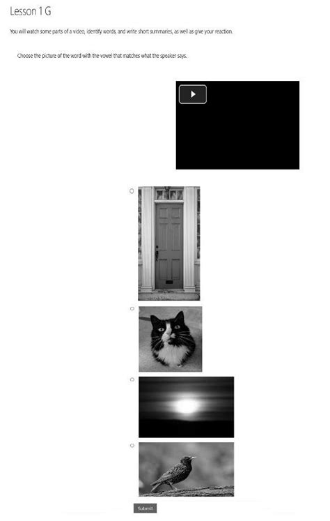 Screenshot Of Vowel Identification Task Download Scientific Diagram