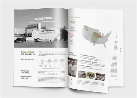 더미트 잡지 편집 디자인 Springstar