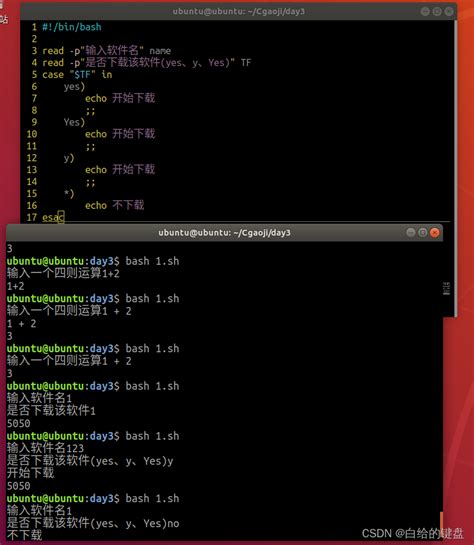 C高级第二天作业 Csdn博客