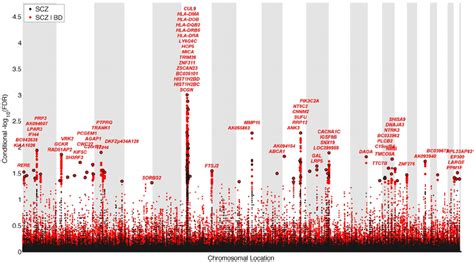 Conditional Manhattan Plot Of Conditional 2 Log 10 Fdr Values For