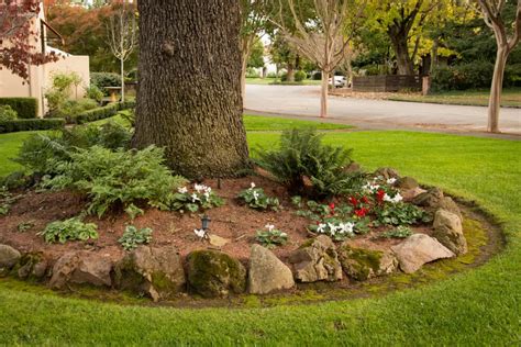 Creative Landscaping Ideas Around Tree Roots Moss Mulch And Fairy Villages Outdoor Happens