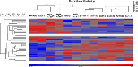 Unsupervised Hierarchical Clustering Of The Expression Of Mirnas