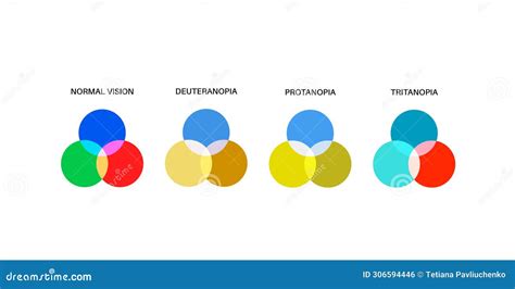Color Blindness Poster Stock Vector Illustration Of Normal 306594446