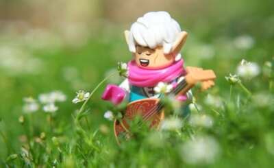 LEGO Dungeons And Dragons Minifigures In Front Of The Lens Toy Photographers