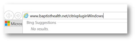 Remote Access Guidelines