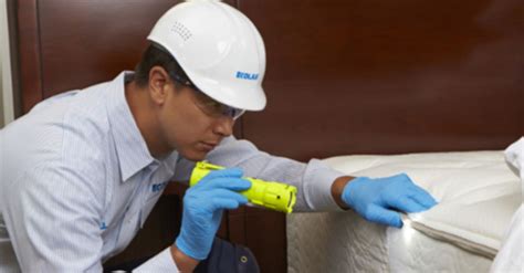 Ecolab On Linkedin Commercial Bed Bug Control