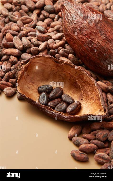 Peeled Raw Beans Of Cocoa In Pod Stock Photo Alamy