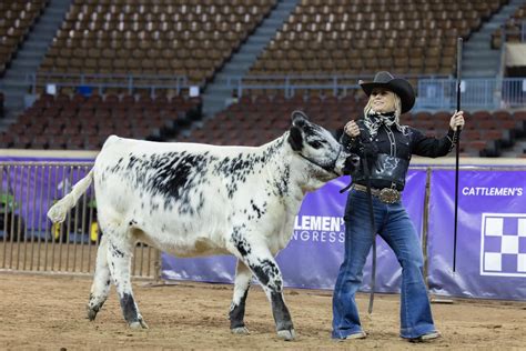 The Ultimate Guide To Fitting Beef Cattle For The Show Ring — Black Label Farms