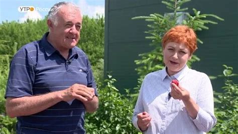 "Дивный САД" питомник Воронежская область, сады, ягоды и натуральные ...