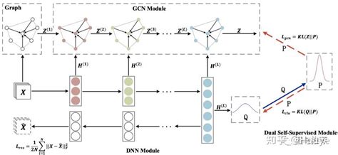 2020 Structural Deep Clustering Network 知乎
