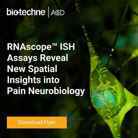 Advanced Cell Diagnostics On Linkedin Let Us Run Your Biomarker Assays