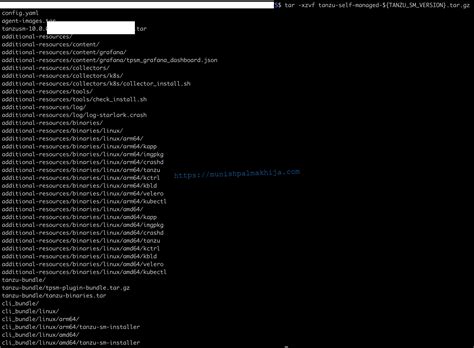 vmware tanzu platform 10 installation guide