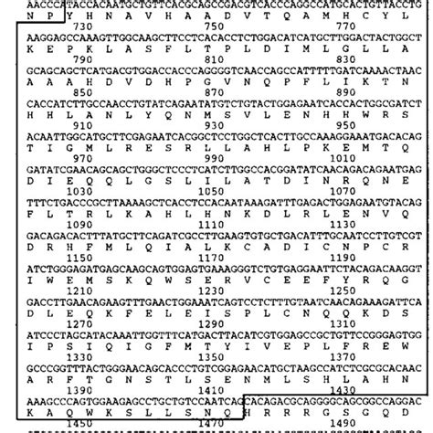 Nucleotide And Amino Acid Sequence Of Pde7b In Frame Stop Codons Download Scientific Diagram