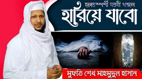 হৃদয়স্পর্শী মরমি গজল Hariye Jabo Ekdin হারিয়ে যাবো একদিন Sheikh