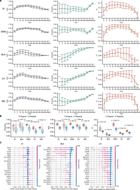 figures and data in high throughput mapping of single neuron projection