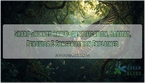 Sharp Shinned Hawk Identification Habitat Behavior And Conservation