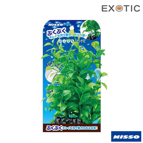 Nisso Flexible Bublle Plants L Rotala Hktvmall The Largest Hk Shopping Platform