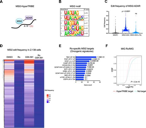 Ro Blocks Msi2 Mrna Binding And Msi2 Binding Specificity Is Prmt5